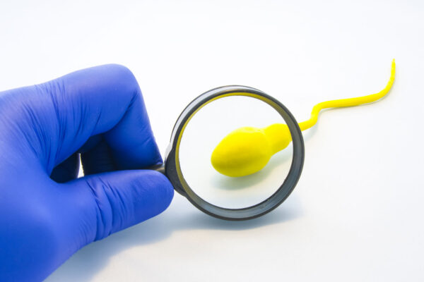 How to Understand the Vasectomy Process: What to Expect