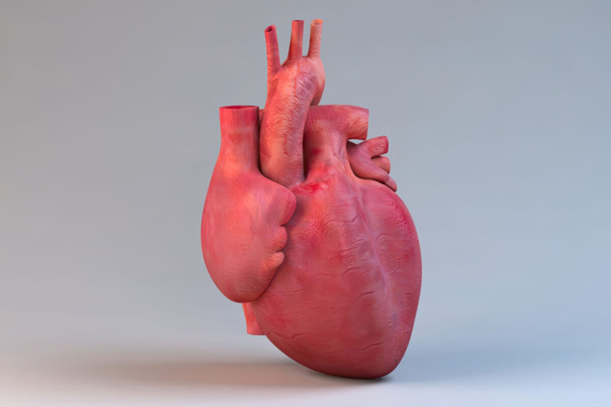 Real Heart - Eremedium