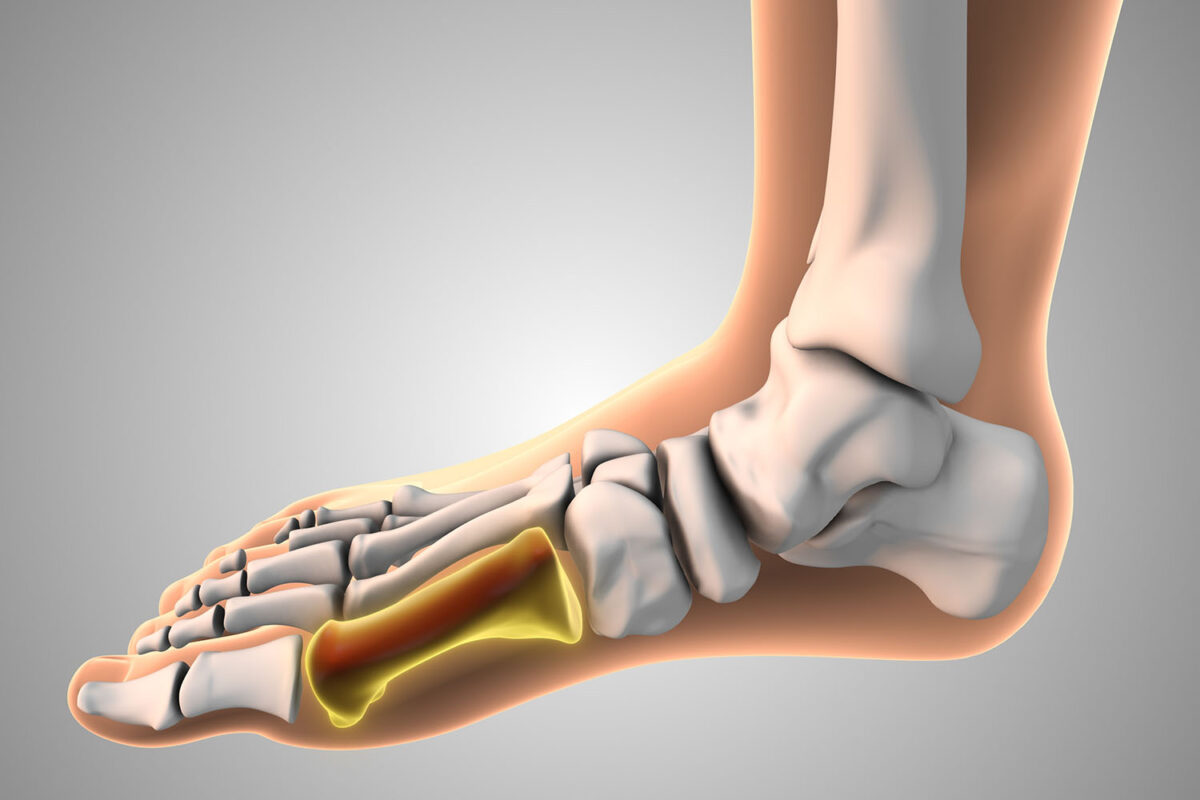 Foot Parts Name - Eremedium
