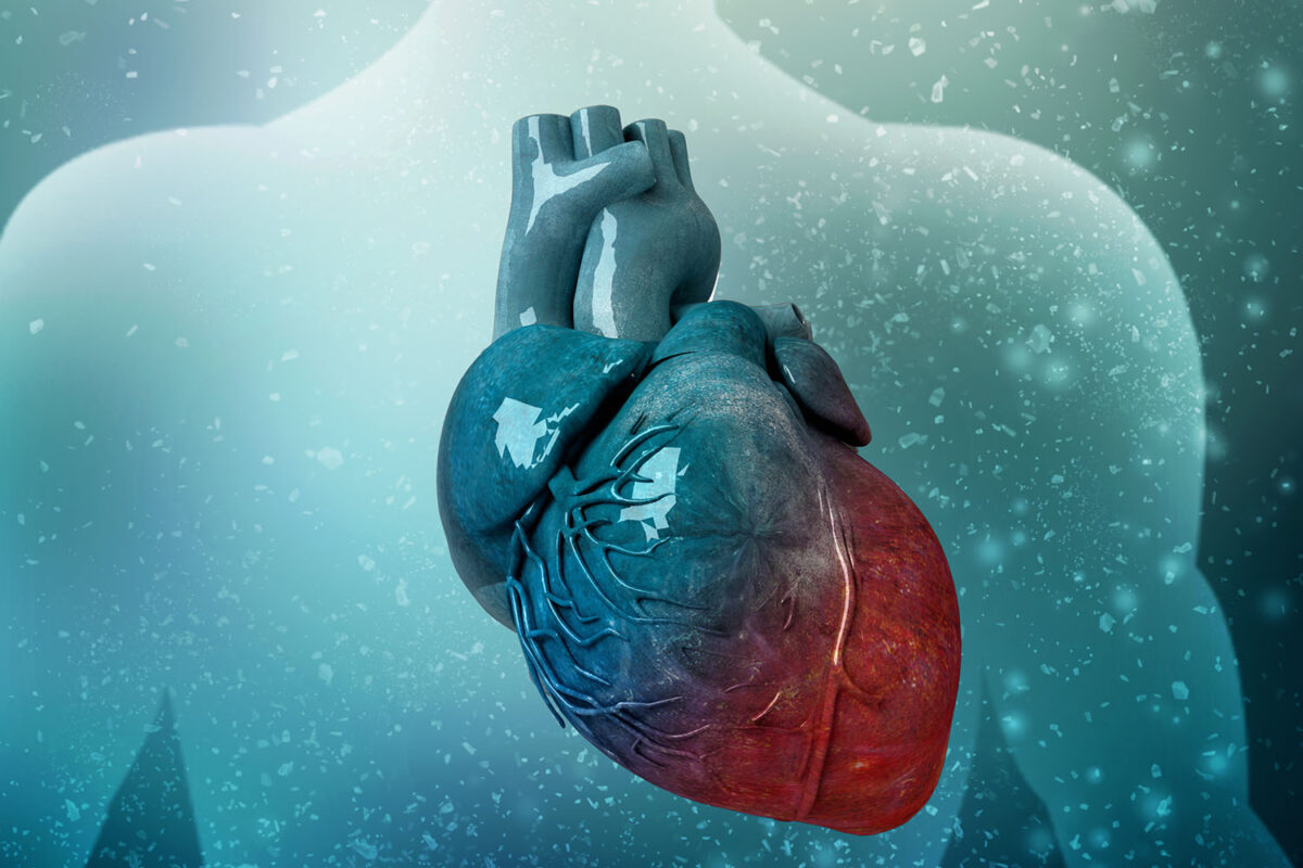 Human Heart Images - Eremedium