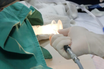 Proctoscopy - Eremedium