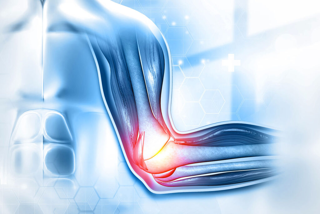 Elbow Anatomy - Eremedium